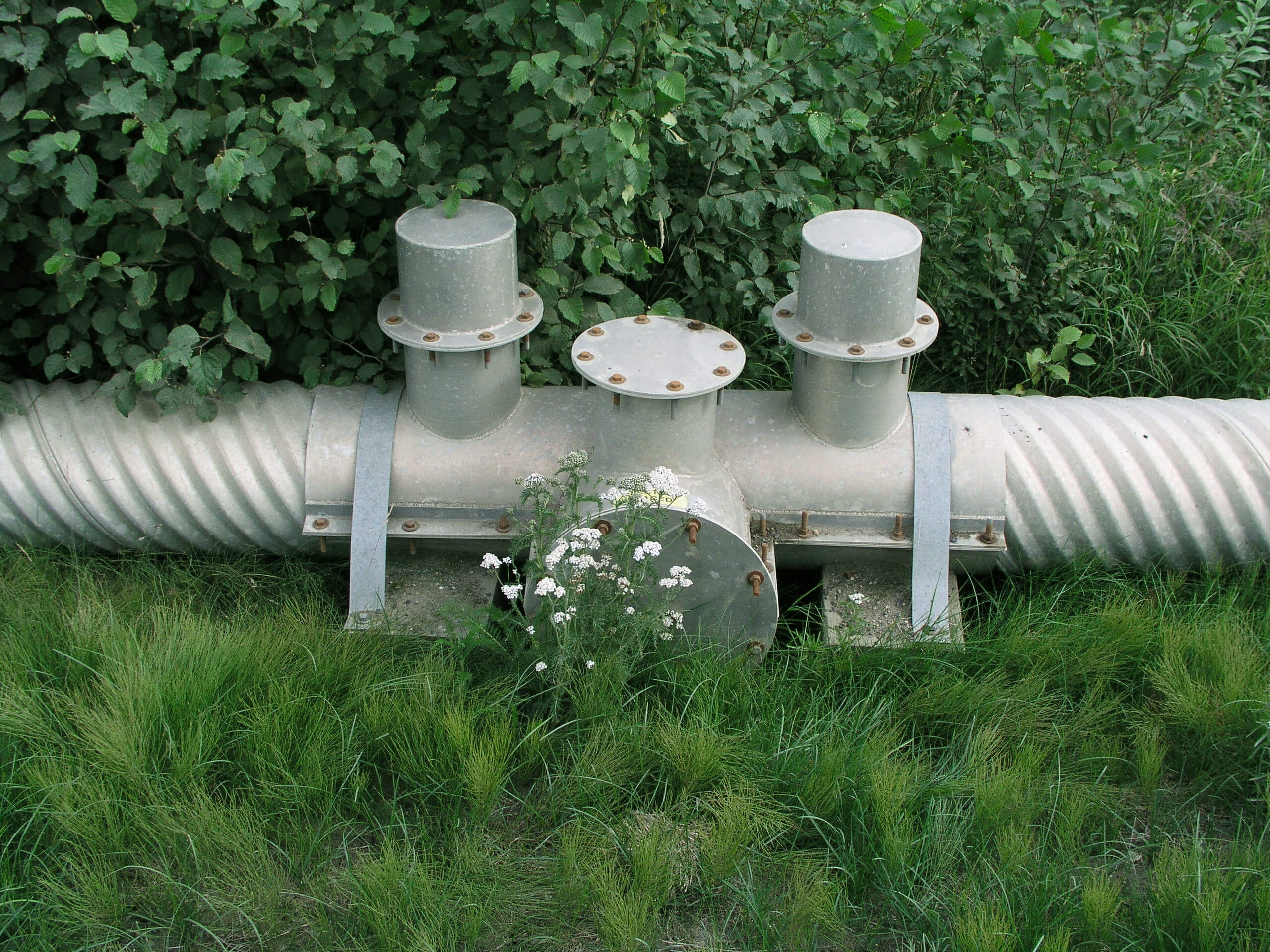 Water Distribution & Treatment - CRW